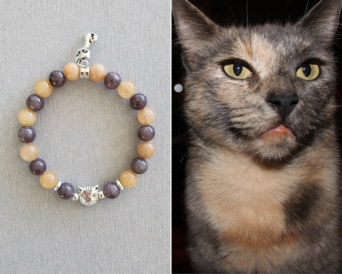 Dilute Tortoiseshell Cat | Blue tortoiseshell cat | Gray tortoiseshell ...